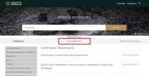 🥇🥇 CNSF: Comisión Nacional de Seguros y Fianzas 【2025】