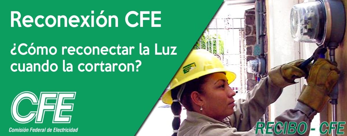 Mi CFE: ¿Cómo ingresar a la plataforma en 4 pasos?