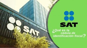 Cédula de Identificación Fiscal ⇨ Requisitos y trámite 🥇 En línea 2024