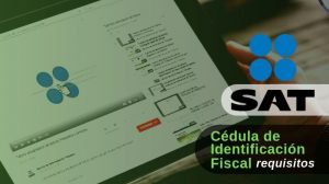 Cédula de Identificación Fiscal ⇨ Requisitos y trámite 🥇 En línea 2025