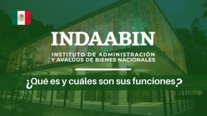 🥇🥇 INDAABIN: funciones, teléfono, avaluos 【2025】