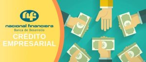 🥇 NAFIN Funciones y programas que ofrece Nacional Financiera